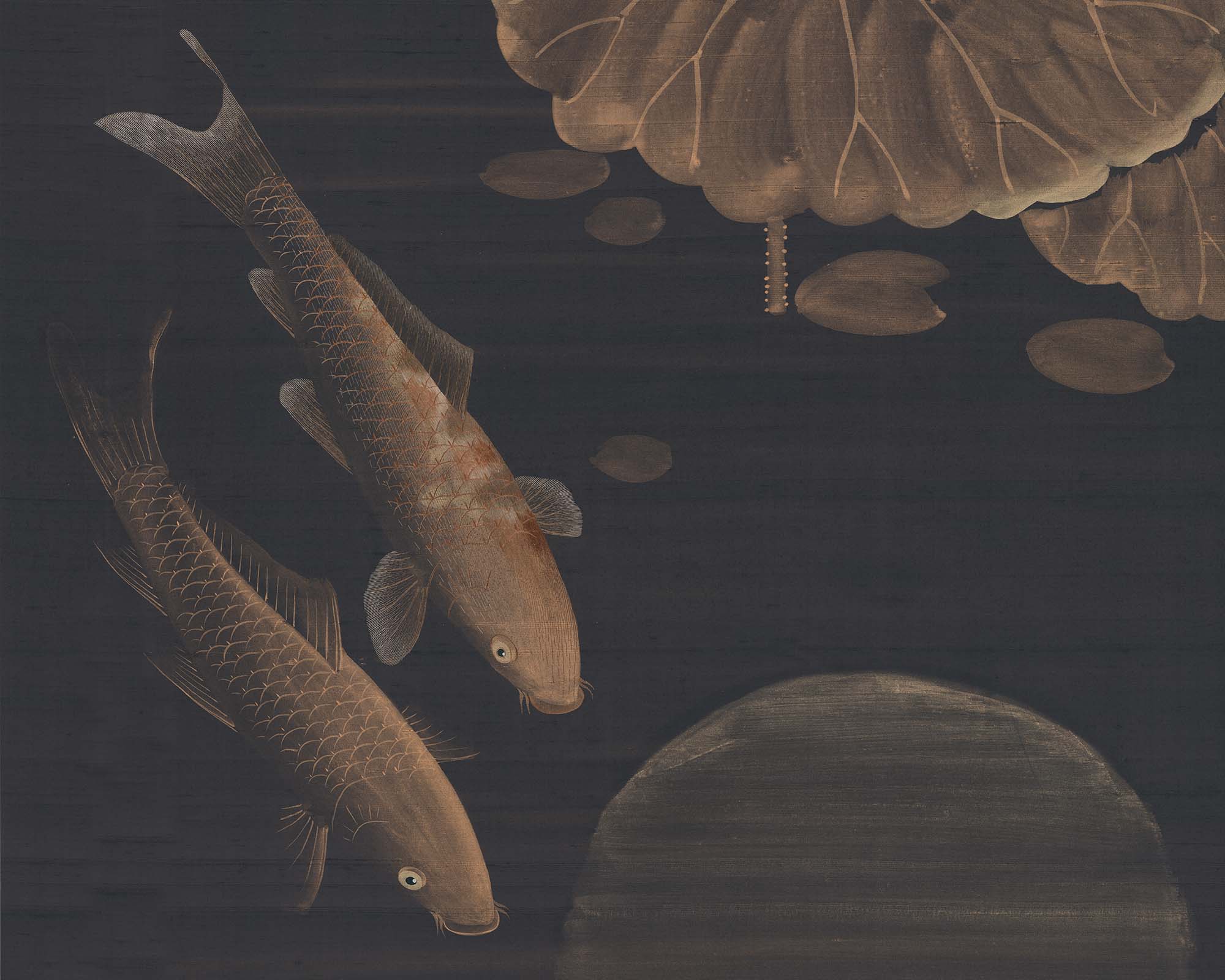 carp wallpaper