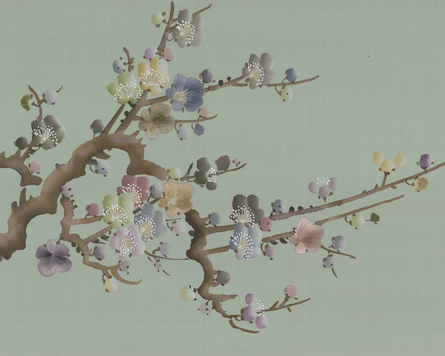 Biwa - Prunus – Fromental Design